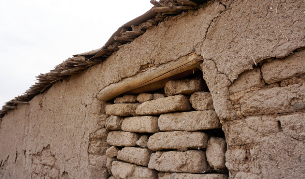 Rojava: Between City and Village, Between War and Ecology | It's Going Down